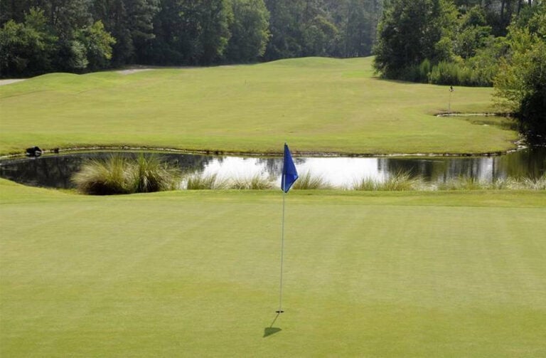 Diamondback Tee Times and Packages from Myrtle Beach Golf