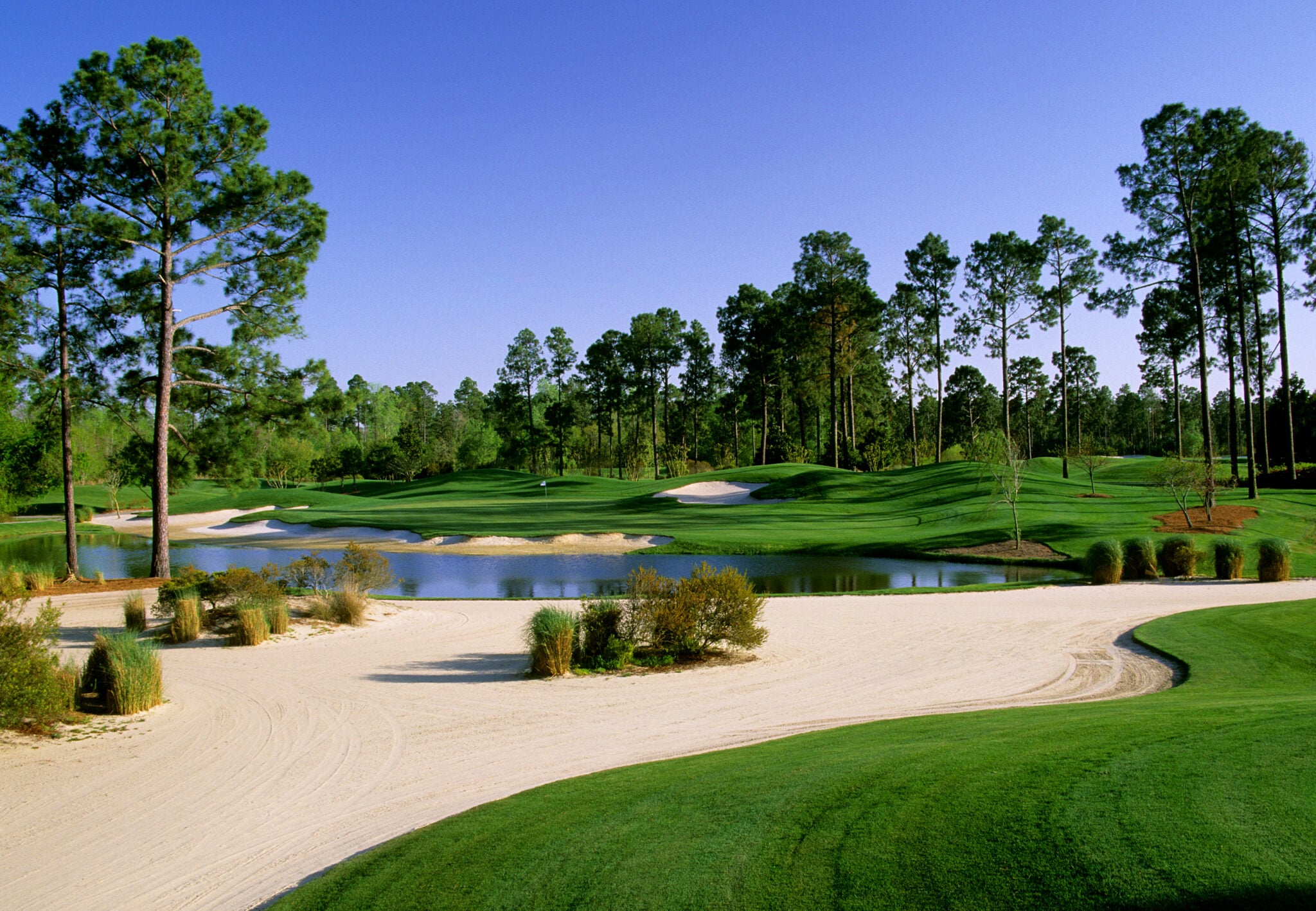 MBN King's North Tee Times and Packages from Myrtle Beach Golf