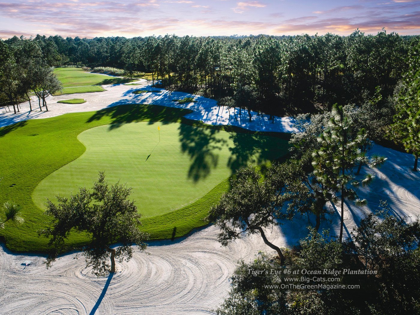 Tiger's Eye Golf Links Tee Times and Packages from Myrtle Beach Golf